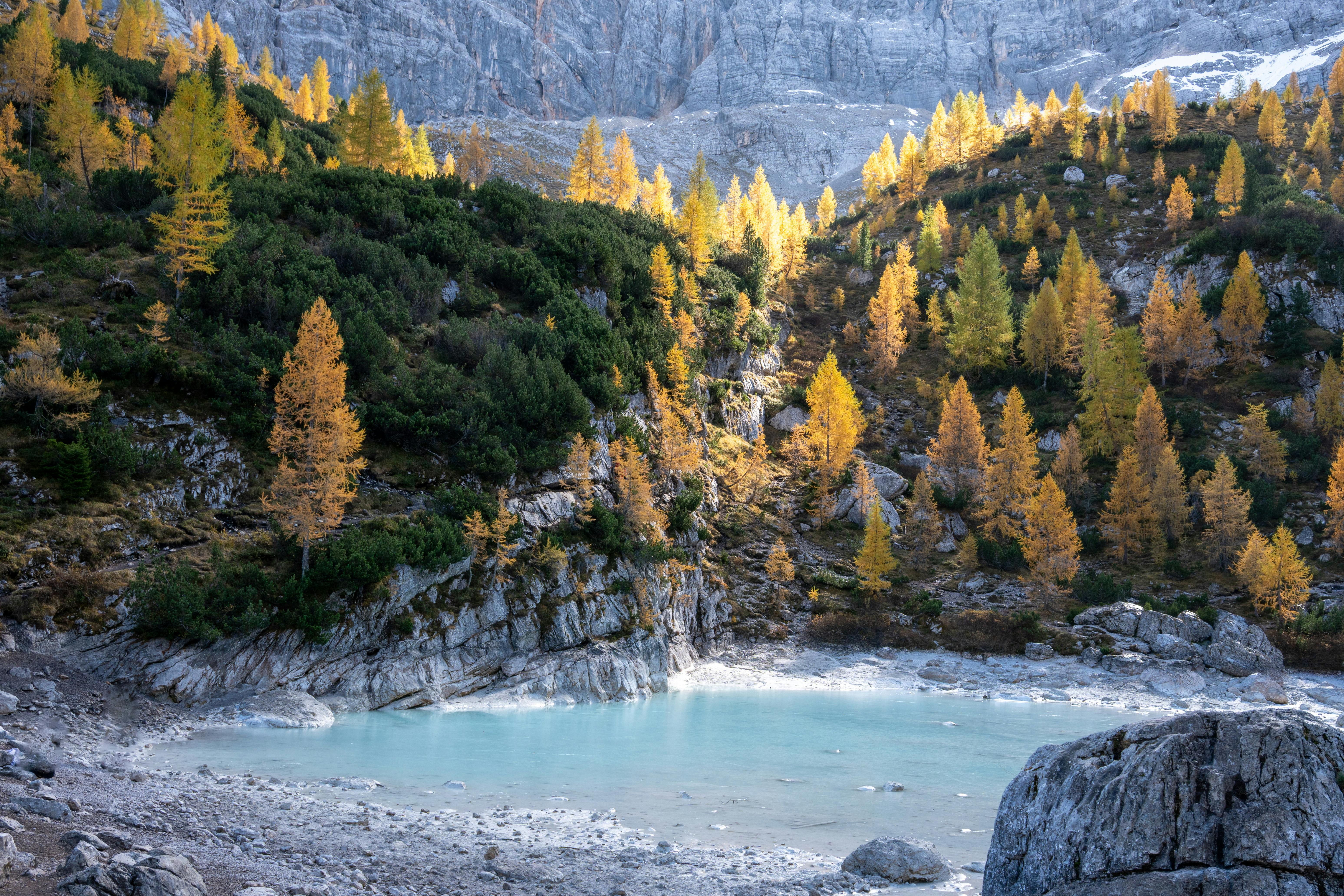 Restoring Nature Connectedness: Why Reconnecting with the Earth is Key ...