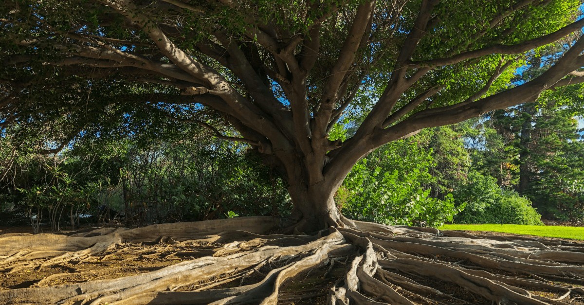 The nature-positive business