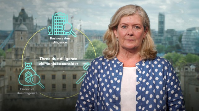 Due Diligence Execution - Finance Unlocked