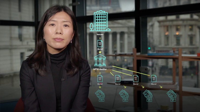 What are Medium-Term Notes? II - Euromoney Learning On-Demand powered ...